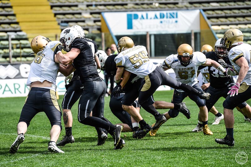 Photos - Parma Panthers Official Site